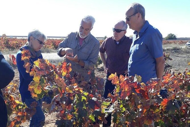 Private Wine Tour With Wine Tasting and Full Lunch - Enhancing Your Wine Tour Experience