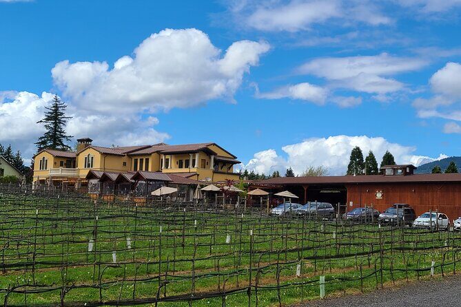 Private Wine Tours - The Value of a Private Tour