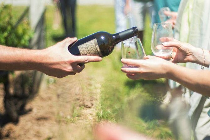 Private wine Tours- Toronto To Niagara-on-Lake - The Sum Up