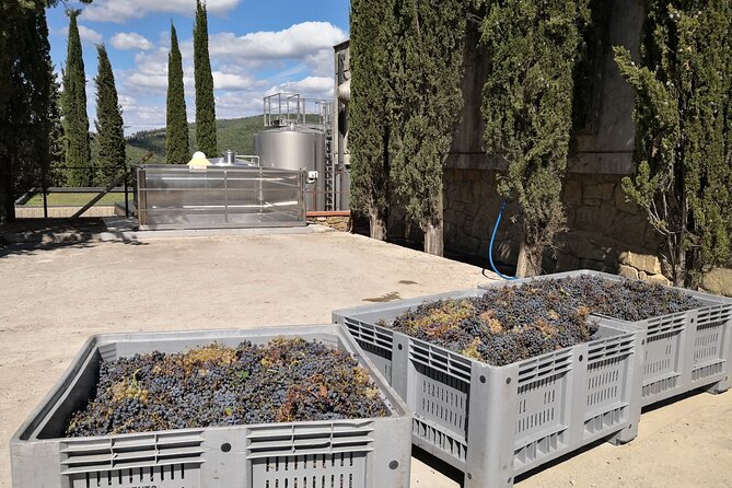 PRIVATE WINE TOURS VIP Wines and Wineries of Chianti Classico - Accessibility and Logistics