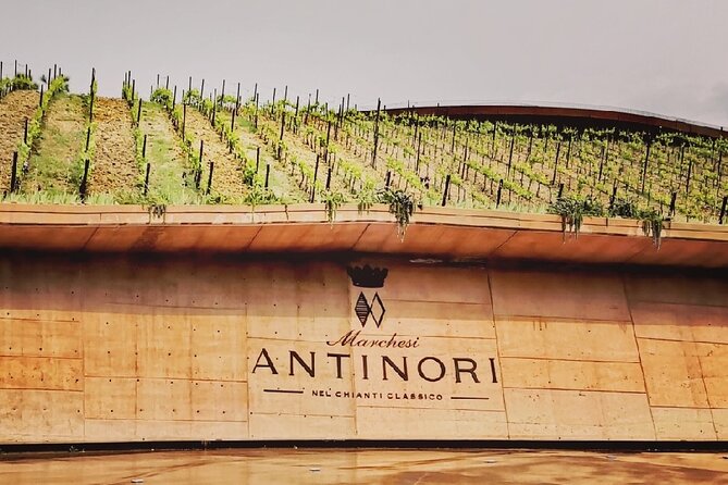 PRIVATE WINE TOURS VIP Wines and Wineries of Chianti Classico - Customer Experiences