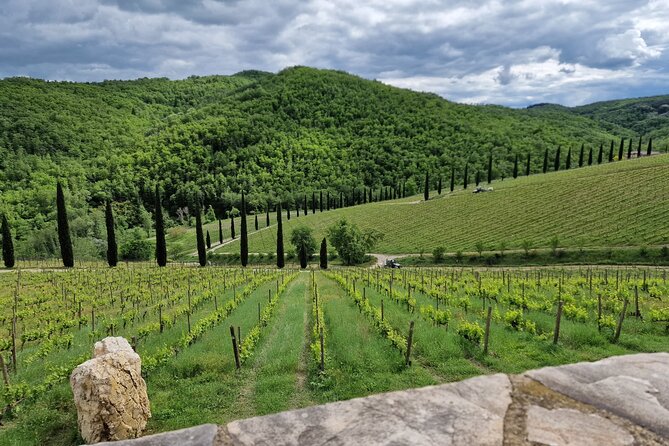 PRIVATE WINE TOURS VIP Wines and Wineries of Chianti Classico - Memorable Engagements and Special Requests