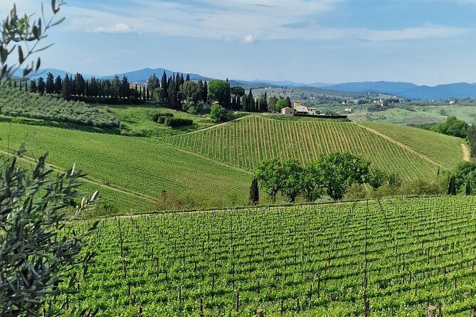 PRIVATE WINE TOURS VIP Wines and Wineries of Chianti Classico - Why Guests Recommend This Tour