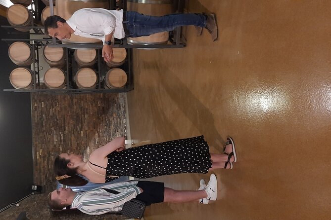 Private Winery and Lunch Experience an hour from Madrid - The Sum Up