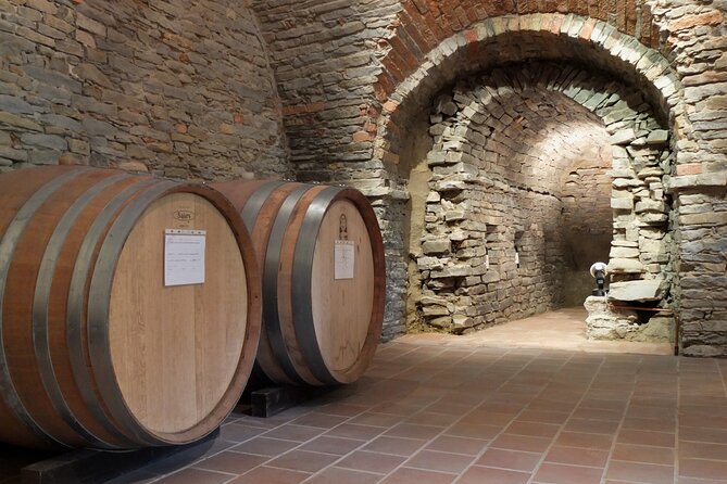 Private Winery and Vineyard Tour with Wine Tasting - An In-Depth Look at the Experience