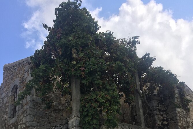 PRIVATE - Winery-Olive Oil Factory-Old Traditional Villages - Traditional Villages Exploration