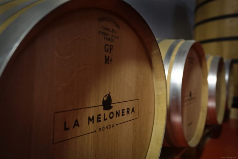 Private Winery Tour and Visit to Ronda - An In-Depth Look at the Tour