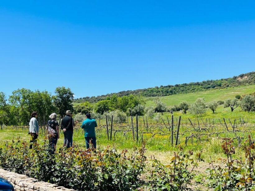 Private Winery Tour and Visit to Ronda - FAQs