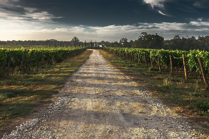 Private Winery Tour of Niagara-on-the-Lake - Final Thoughts