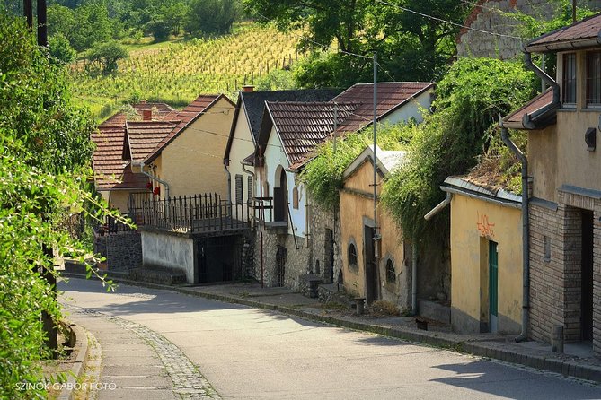 Private winetasting and sightseeing tour to Eger, home to Bull's Blood wine! - Final Thoughts
