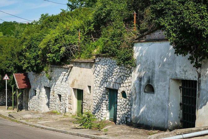 Private winetasting and sightseeing tour to Eger, home to Bull's Blood wine! - FAQ