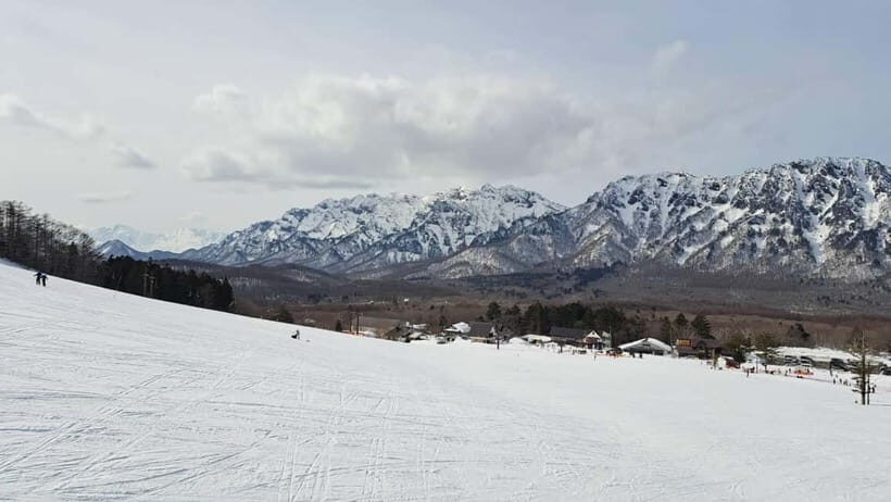 Private Winter Togakushi Tour: Snow, Shrine, & Cedar Trees - Exploring the Private Winter Togakushi Tour: Snow, Shrine, & Cedar Trees