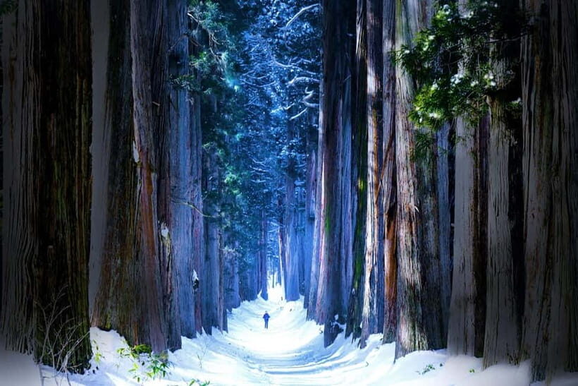 Private Winter Togakushi Tour: Snow, Shrine, & Cedar Trees - Is This Tour Worth the Price?