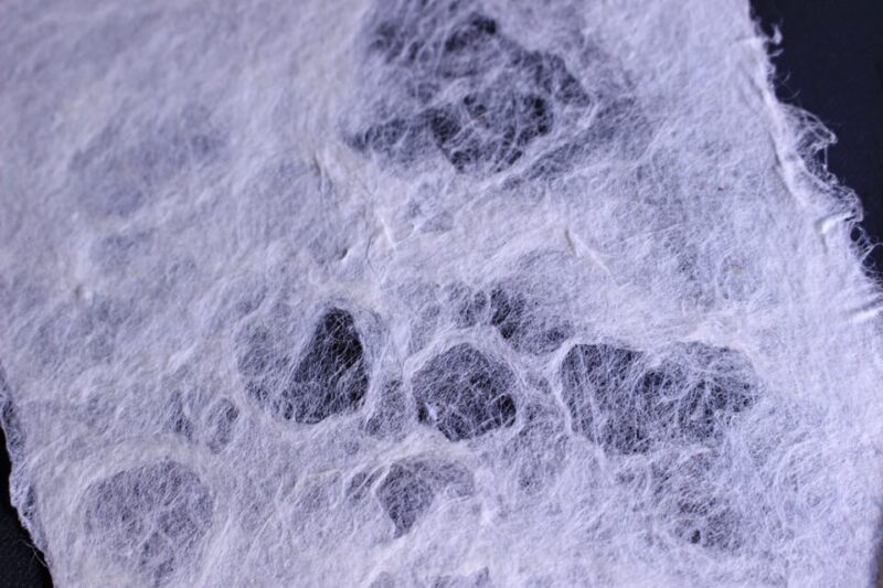 Private Workshop for Making Paper Last 1,000 Years in Ueno - Instructor and Group Information