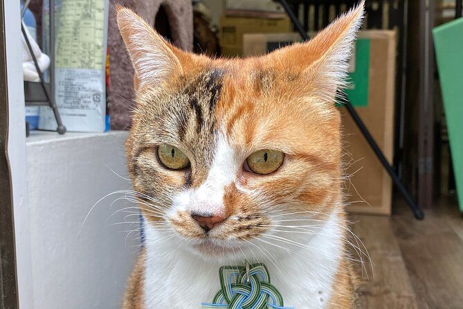 Private Workshop of Handmade Traditional Japanese Paper in Tokyo - Participant Reviews