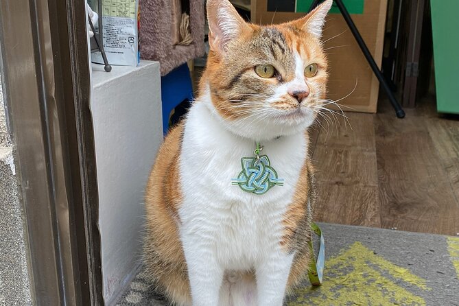 Private Workshop of Handmade Traditional Japanese Paper in Tokyo - Common Questions