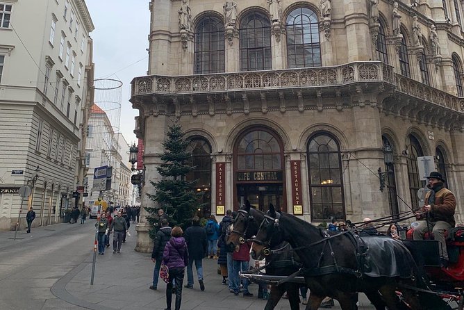 Private World War II Walking Tour in Vienna - Visiting Key Landmarks and Memorials