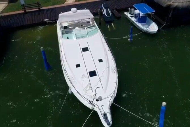 Private Yacht 46ft Sea Ray Snorkel up to 15 pax 23P2 - FAQs