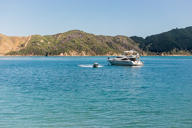 Private Yacht Cruise in the Marlborough Sounds New Zealand - Summary