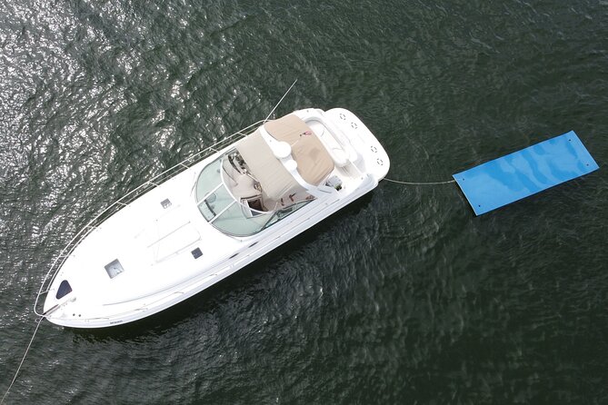 Private Yacht Rental Miami, Customizable Tours, Dolphin Watching - Customer Experiences and Reviews