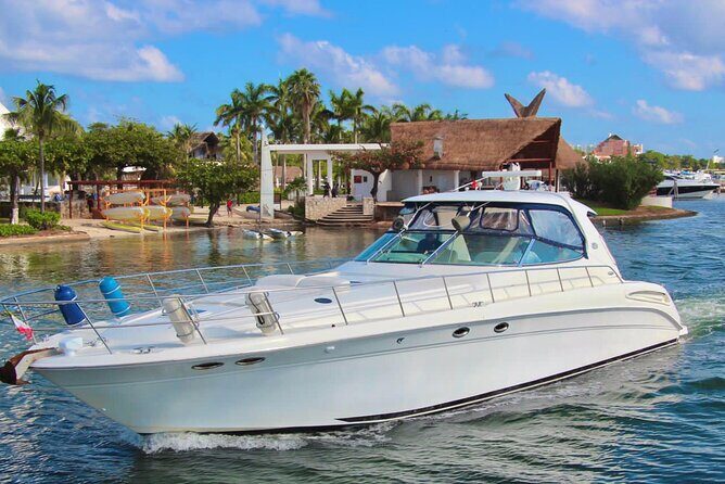 Private Yacht SEARAY SUNDANCER 60ft up to 20 pax 23P1 - Authentic Experiences and Guest Insights