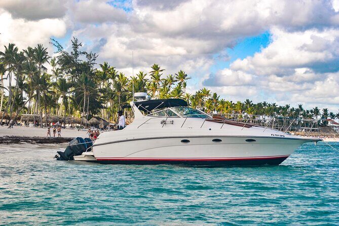 Private Yacht Tour in Punta Cana with Snorkeling and Open Bar - Real Traveler Insights and Review Highlights