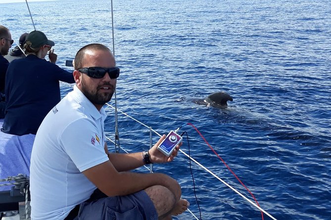 Private Yacht Tour With Whale and Dolphin Watching 42 Foot Boat - Meeting and Logistics