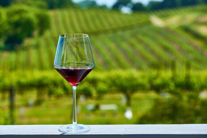 Private Yalumba Wine Tour Experience from Angaston - Who Is This Tour Best For?