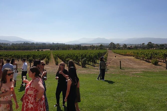 Private Yarra Valley Winery & Healesville Sanctuary Tours - Cost and Value Analysis