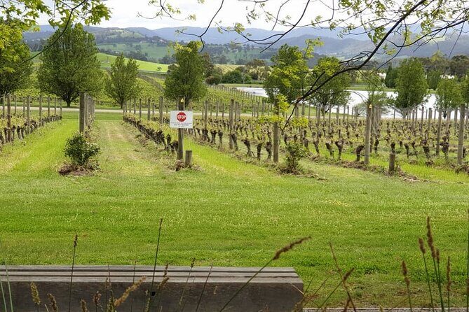 Private Yarra Valley Winery & Healesville Sanctuary Tours - Final Thoughts