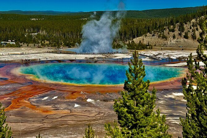 Private Yellowstone Hot Spots Tour From West Yellowstone - The Logistics and Group Dynamics