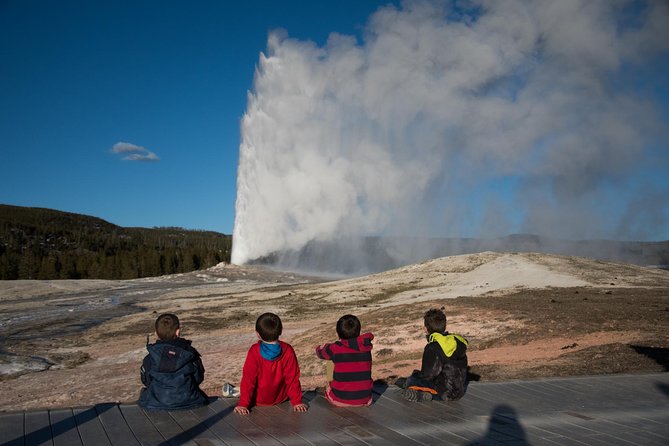 Private Yellowstone Old Faithful and Lower Loop Tour - Wildlife Viewing Opportunities