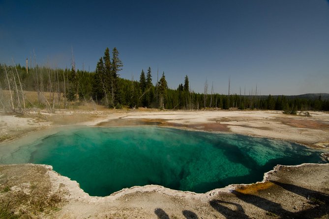 Private Yellowstone Old Faithful and Lower Loop Tour - Customer Experiences and Reviews