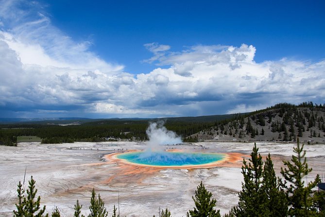 Private Yellowstone Old Faithful and Lower Loop Tour - Booking Information and Flexibility