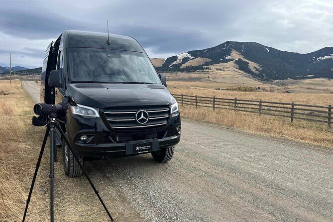 Private Yellowstone Park Van Tours from Bozeman and Big Sky - The Value of a Private Tour in Yellowstone