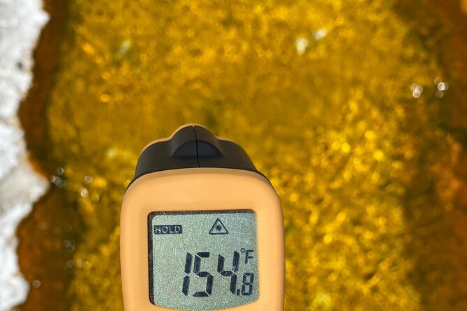 PRIVATE Yellowstone Tour 4 or More People- Picnic, Binoculars, Spotting Scope - Pricing, Booking, and Customer Experiences