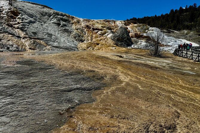 Private Yellowstone Wildlife and Photo Tours Upper Loop Cody Wy - FAQ