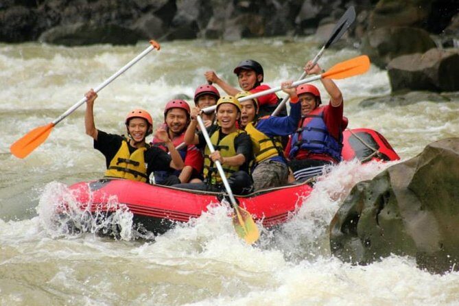 Private Yogyakarta Elo River Rafting - Dutch / Italian / French / English Guide - Why This Tour Offers Good Value