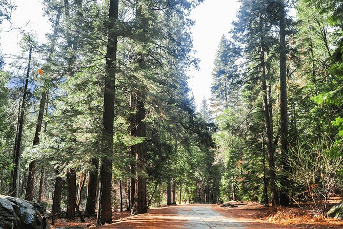 Private Yosemite National Park Day Trip from San Francisco - Final Thoughts