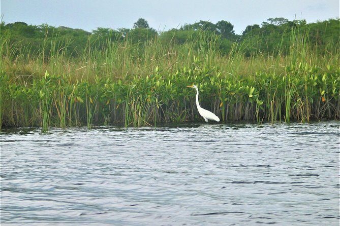 Private YS Falls and Black River Safari from Montego Bay and Grand Palladium - FAQ