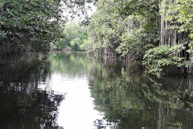 Private YS Falls and Black River Safari from Negril - FAQs