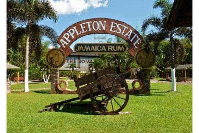 Private YS Falls & Appleton Estate Rum tour from Montego Bay - The Sum Up