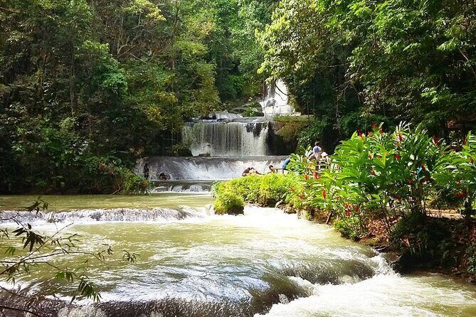 [PRIVATE] YS Falls, Black River, Pelican Bar - Entrance & Lunch - Food and Drinks