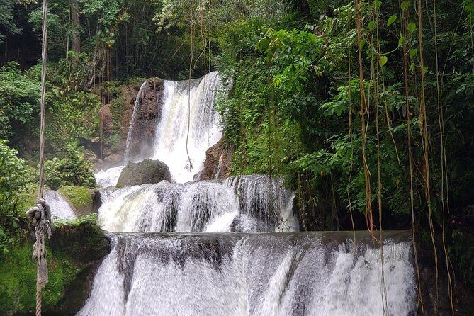 [PRIVATE] YS Falls, Black River, Pelican Bar - Entrance & Lunch - Authentic Experiences and Local Insights