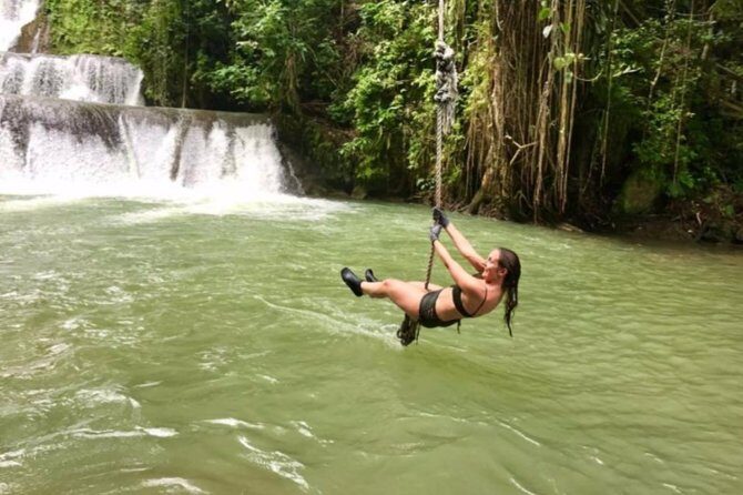 [PRIVATE] YS Falls, Black River, Pelican Bar - Entrance & Lunch - Price and Value