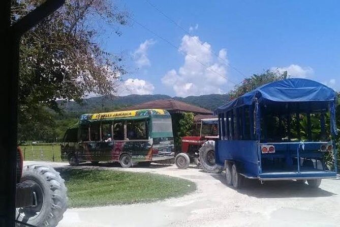 Private YS Falls Tour from Montego Bay - FAQ