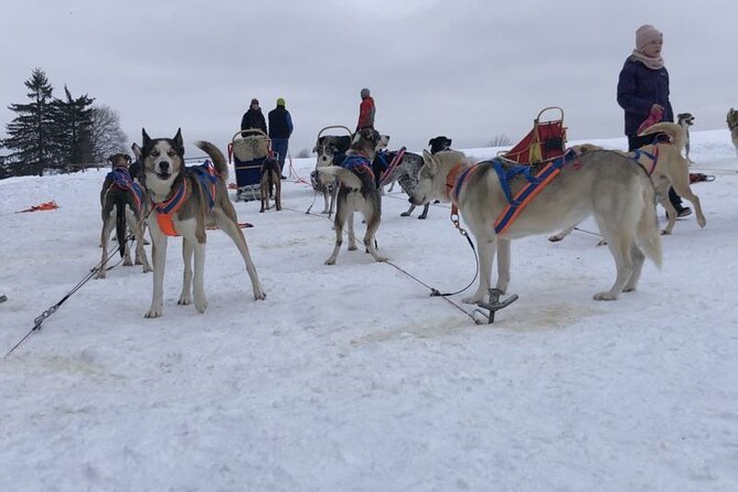 Private Zakopane and Thermal Pools Tour from Krakow - An In-Depth Look at the Tour Experience