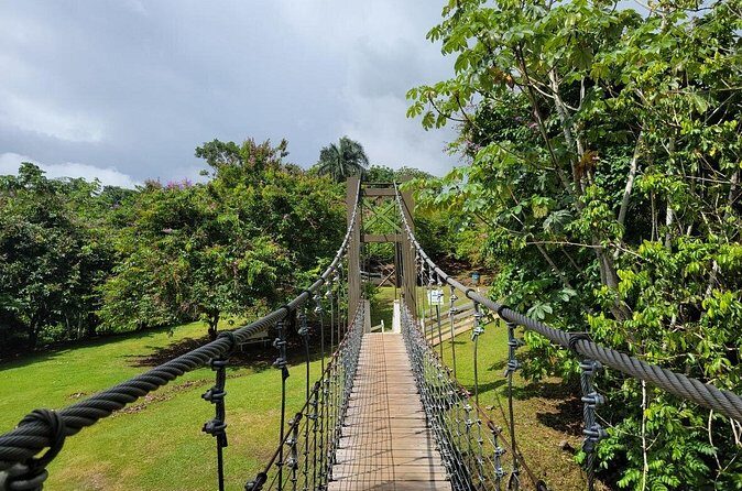 Private Ziplining Tour in Puerto Rico - Final Thoughts: Is It Worth It?