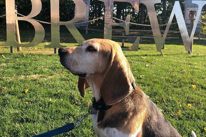 Private:Brewery, Winery, and Cider & Spirit Tastings Tour in SW Ontario - Why This Tour Is Worth Considering