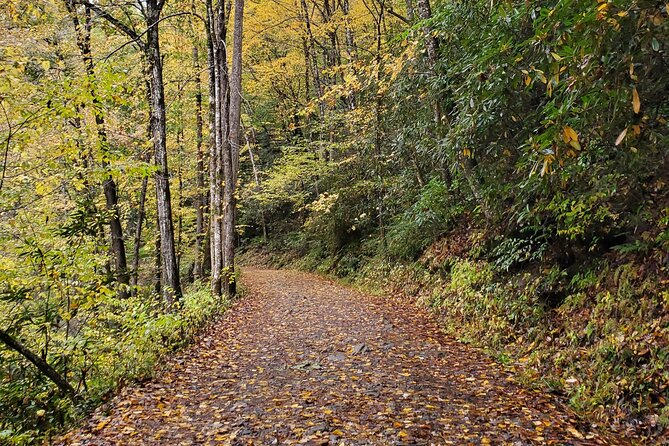 Privately Guided Full Day Hike - A Closer Look at the Reviews